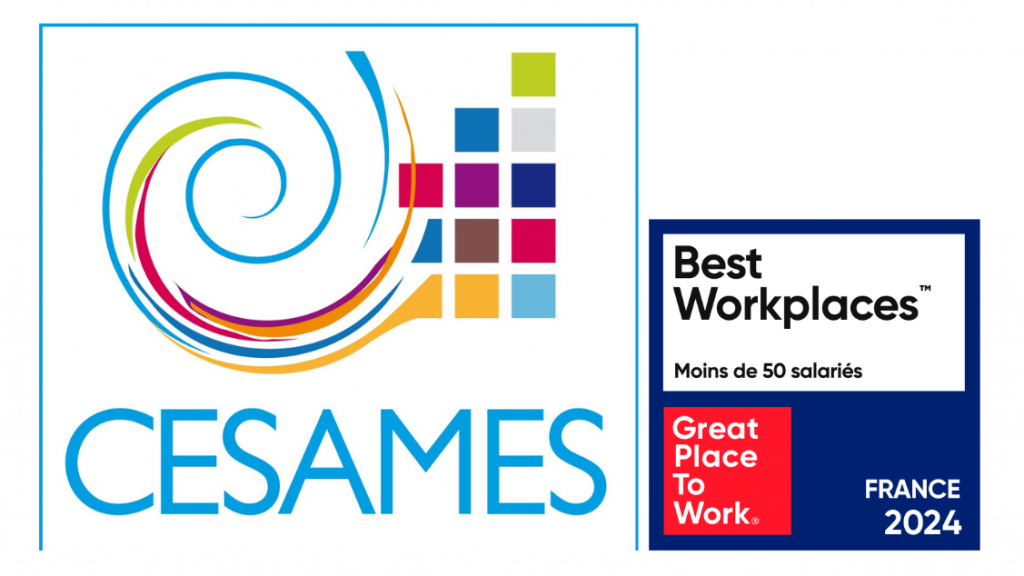 Architecture d'entreprise - CESAMES
